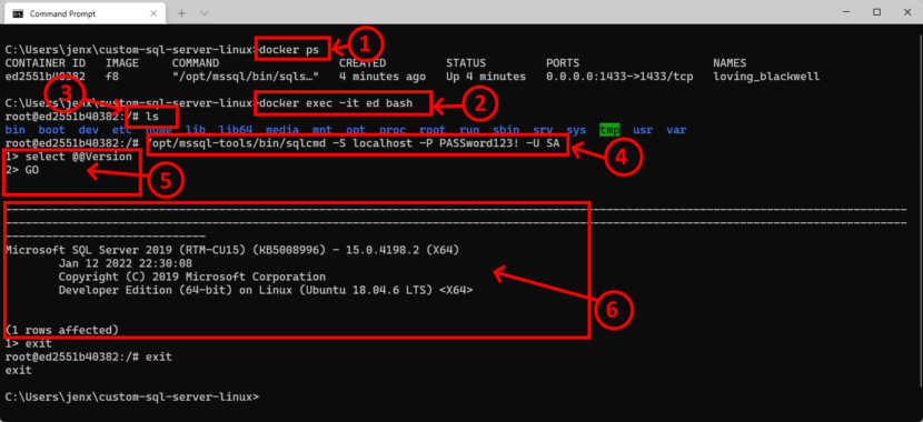 SQL SERVER and Docker – jenx.si